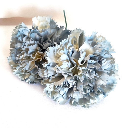 CLAVEL AZUL OXFORD – capellina